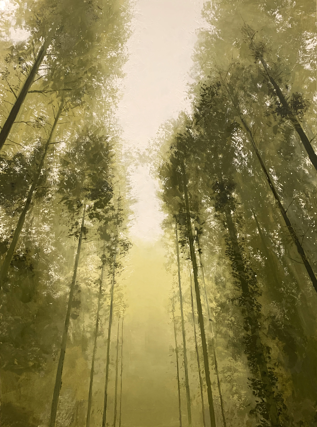 Benoit Trimborn - Regards sur le Paysage